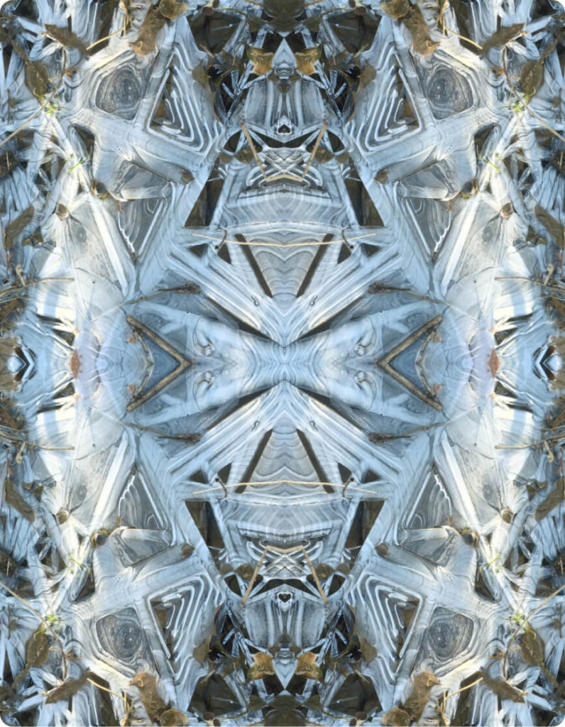 Mirrored and Reflected - The Frank Museum of Art and Galleries
