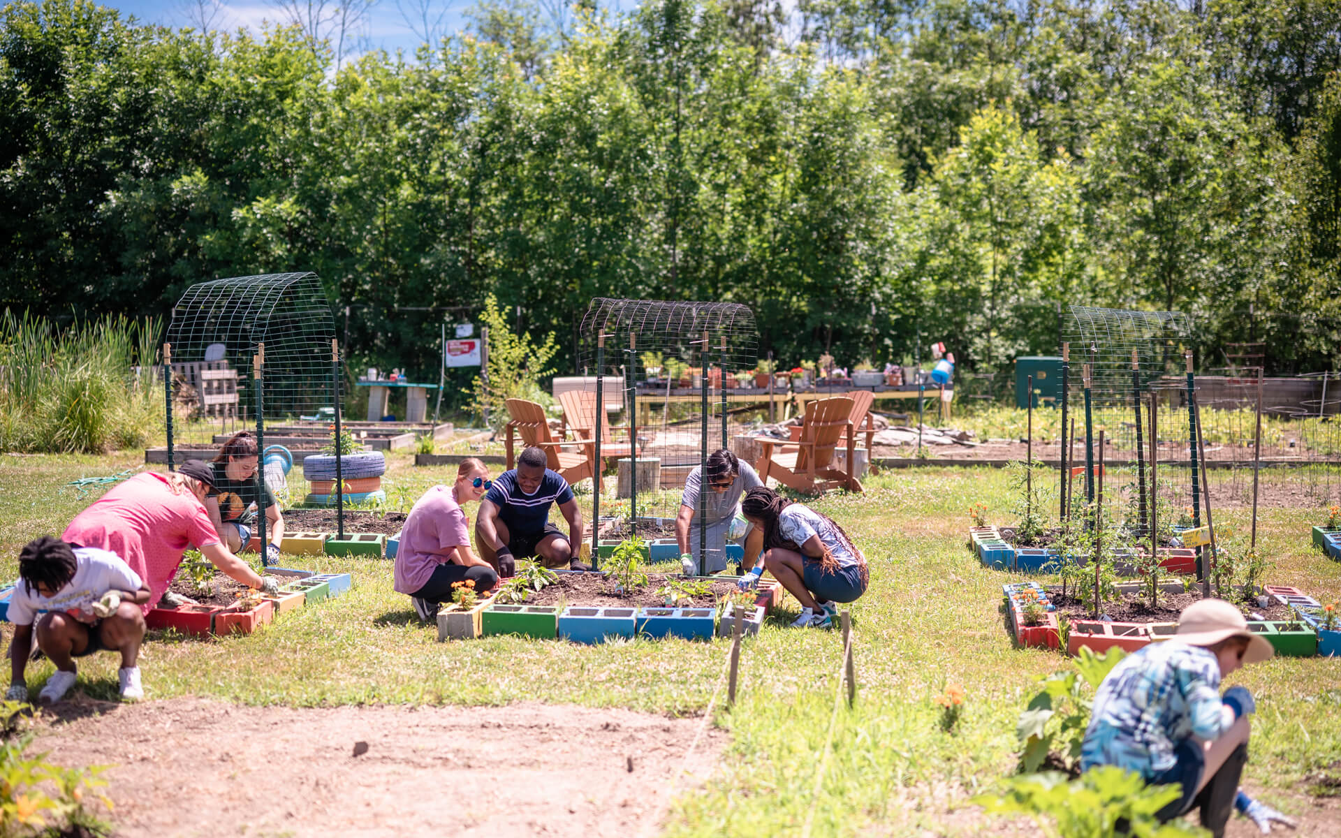 Students Working to Create an Environmentally Sustainable Campus ...