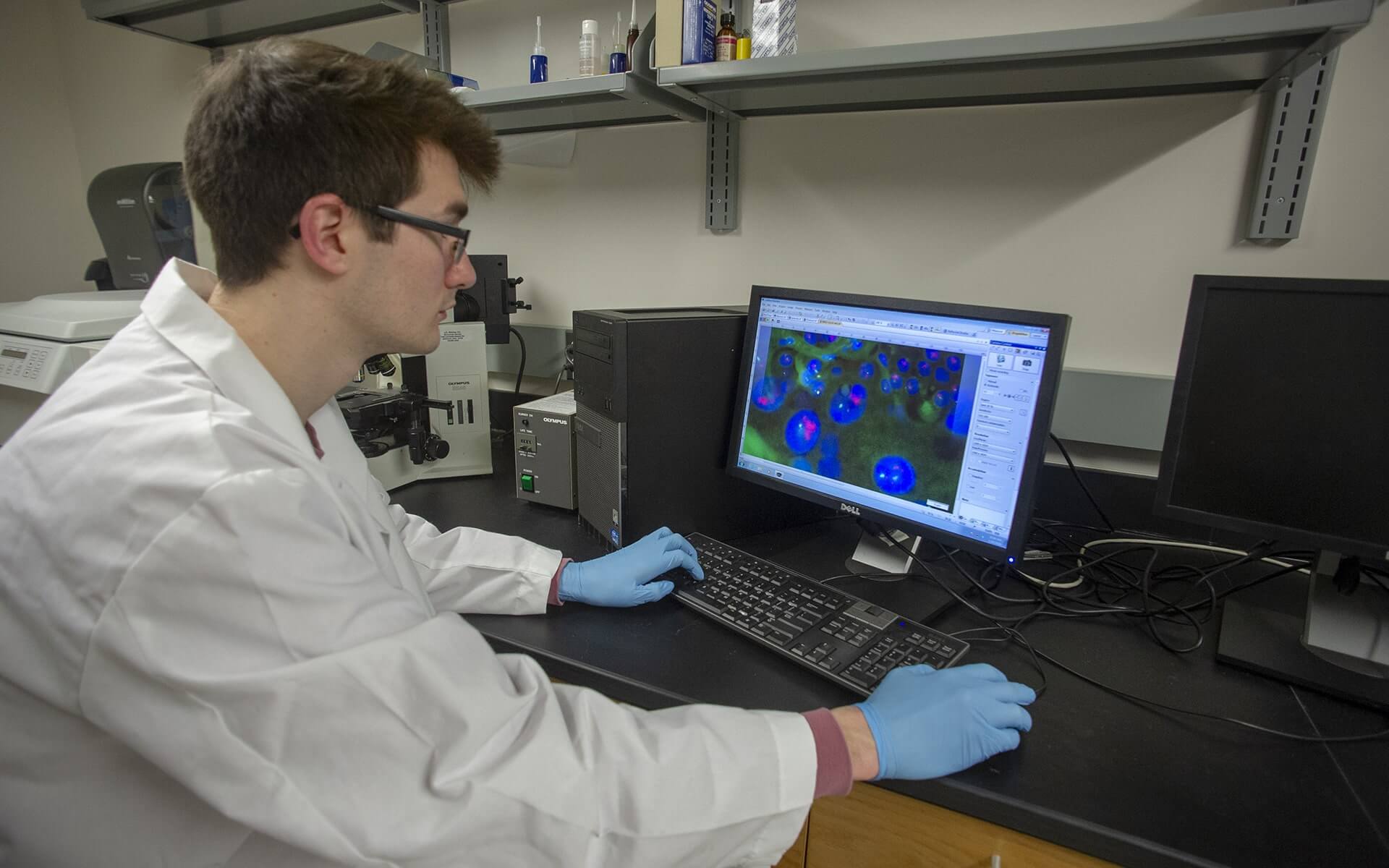 Biochemistry and Molecular Biology Degree at Otterbein University