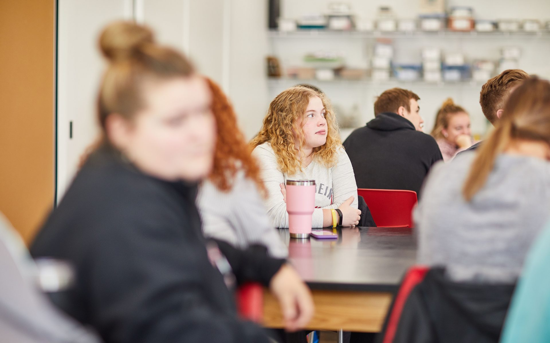 Women's, Gender & Sexuality Studies Program (WGSS) - Otterbein University