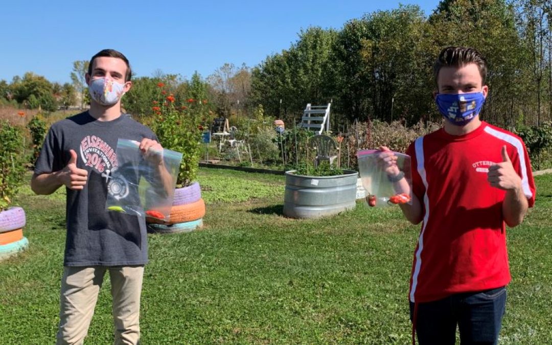 Otterbein Community Garden Transforms Peppers and Pigments into ...