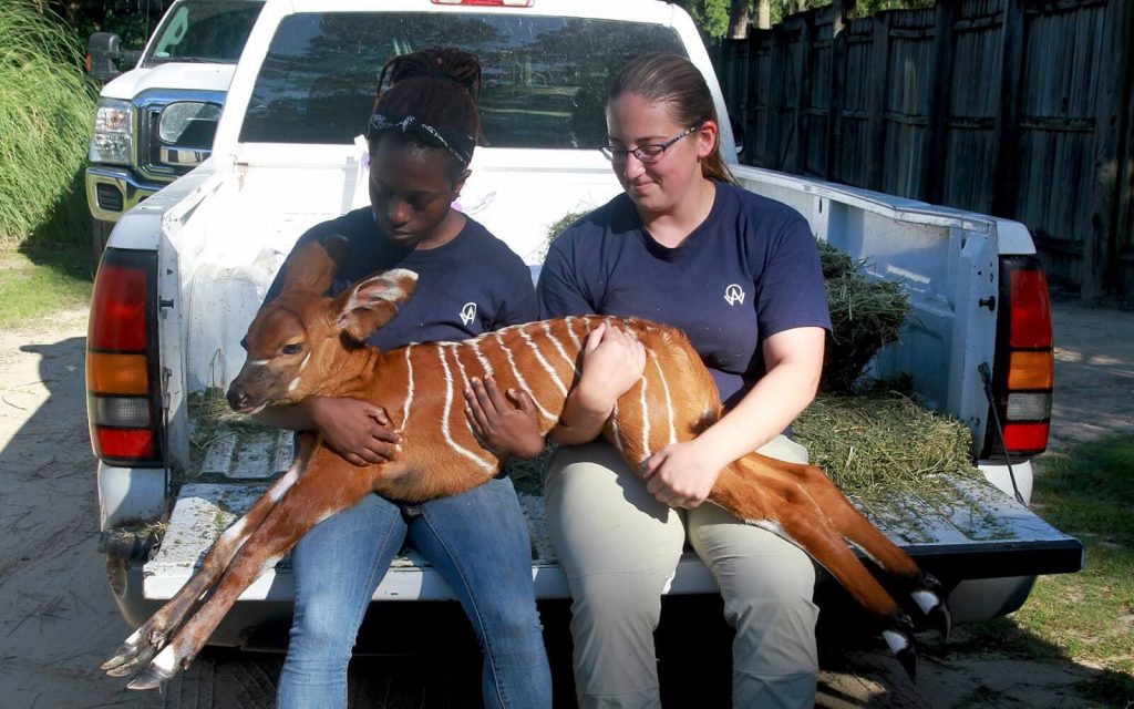 Zoo & Conservation Science - Otterbein University