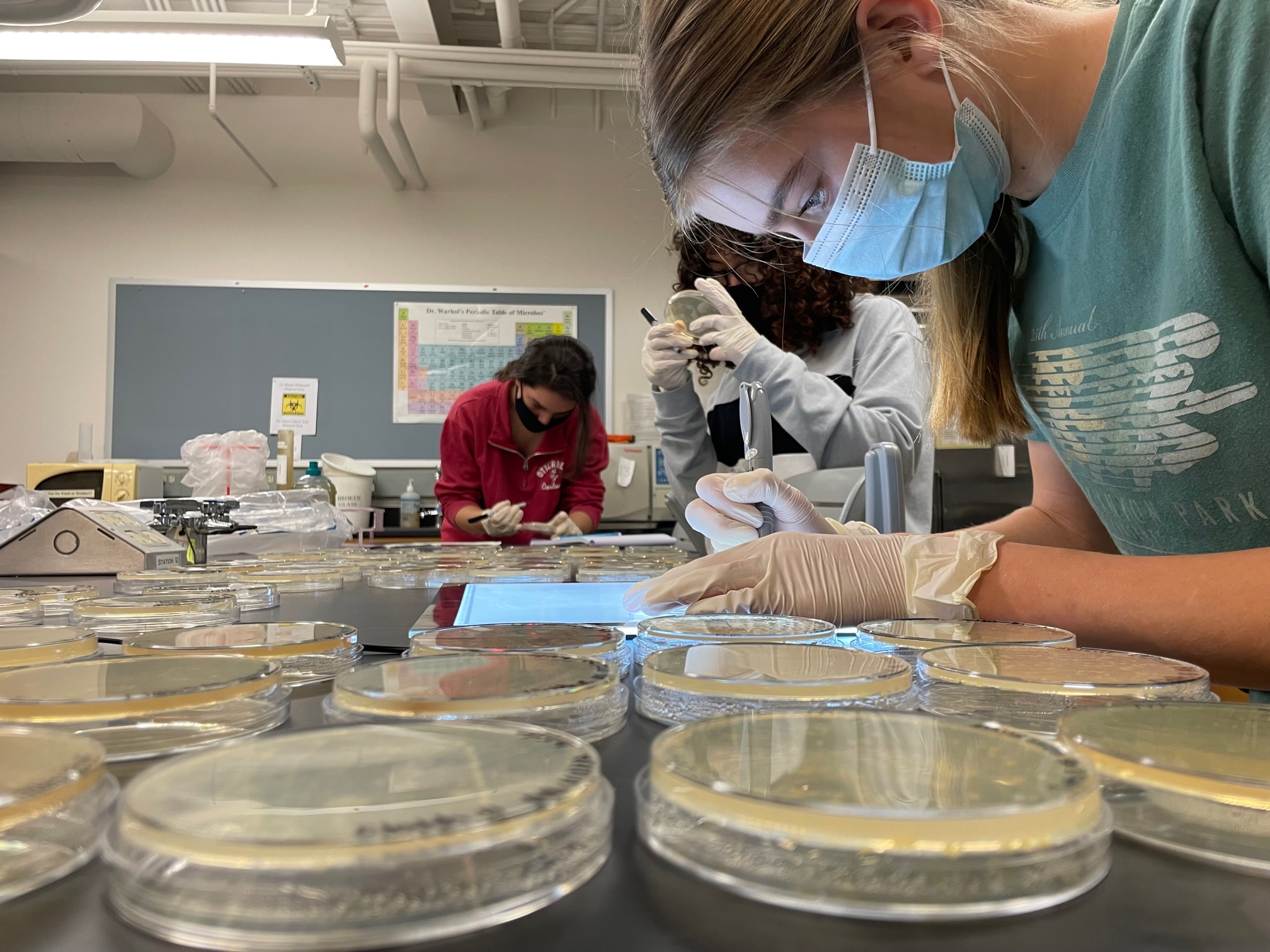 Biology and Earth Science Professor Hosts Middle School Students in Her ...